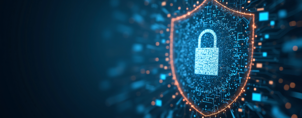 CMMC Compliance Made Simple - Netranom